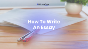 How to Write an Essay: Beginner's Guide 📝
